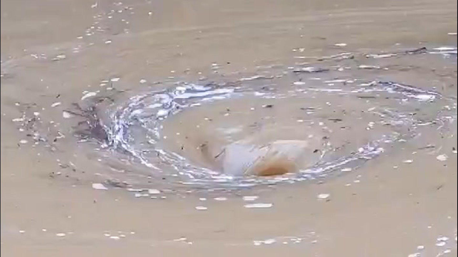 What Causes Whirlpools