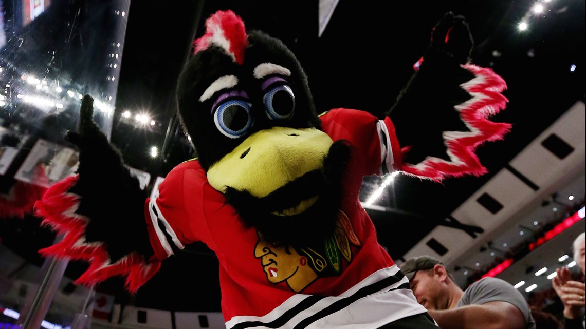Chicago Blackhawks mascot Tommy Hawk fights fan in viral video ...