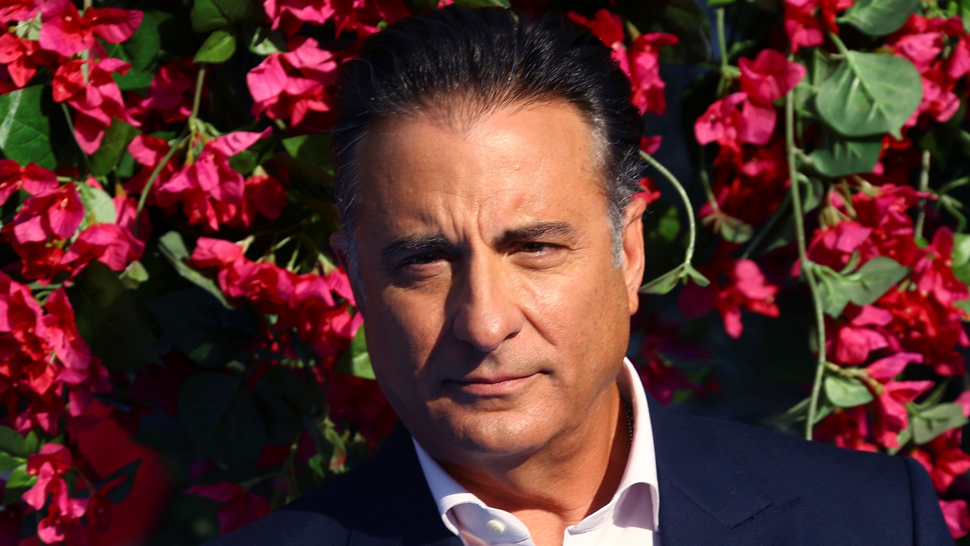 Andy Garcia stars in 'Father of the Bride' Cuban-American reboot ...