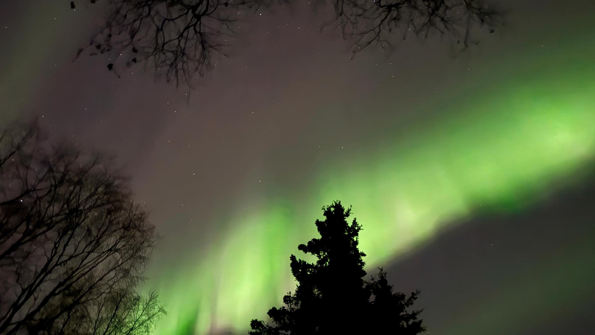 Northern Lights to illuminate US skies on April 16 | 13newsnow.com