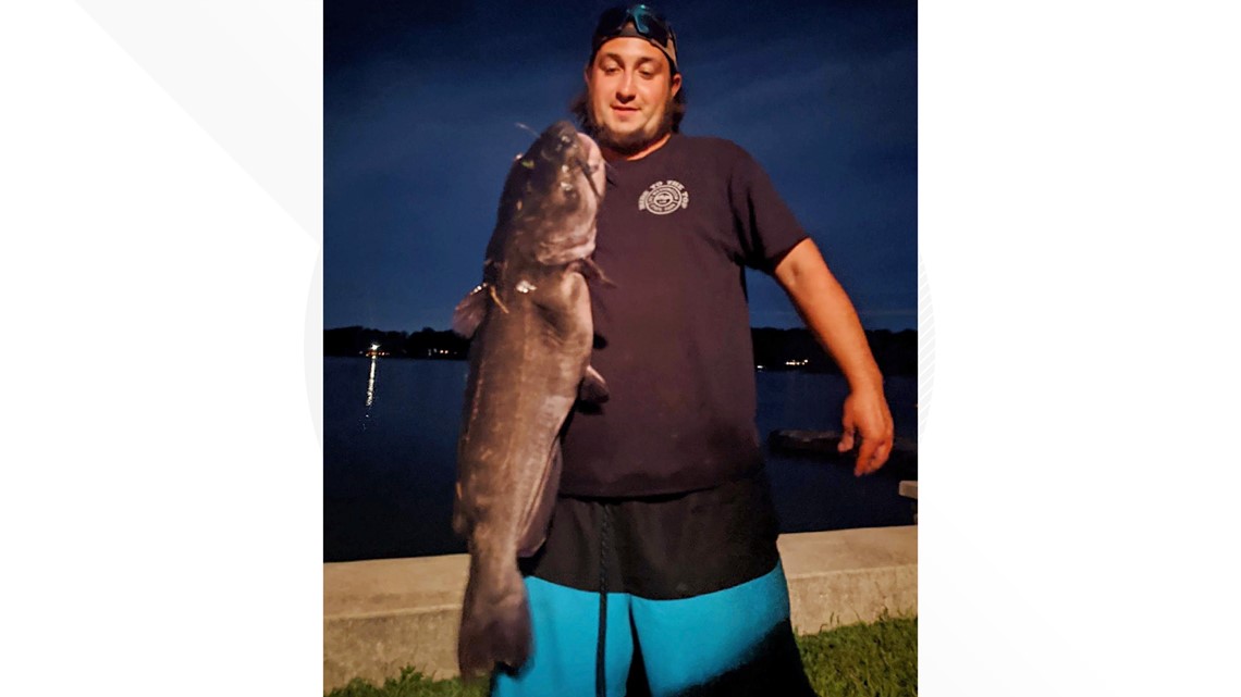 Connecticut catfish smashes state record, up for world record ...