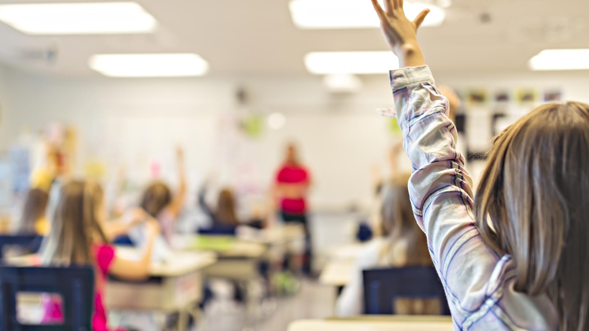 ‘Cat in the Hat’ TikTok trend prompts increased security at schools ...