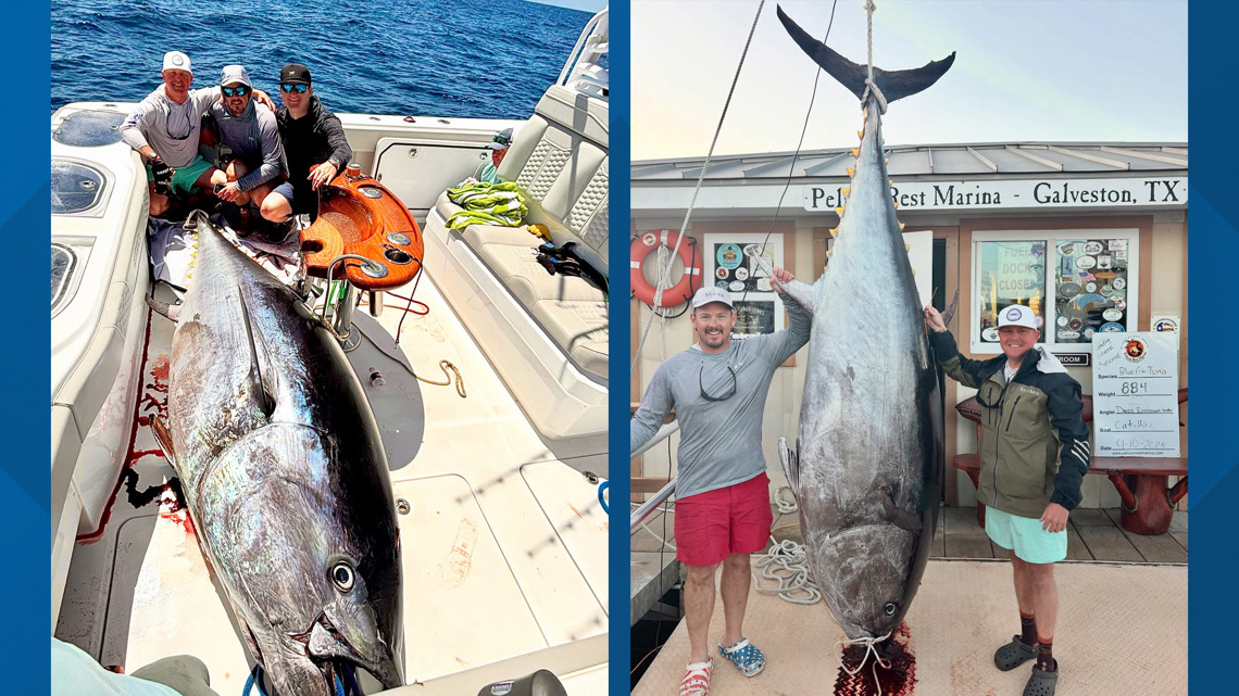 Texas man catches record-breaking 884-pound Bluefin Tuna | 13newsnow.com