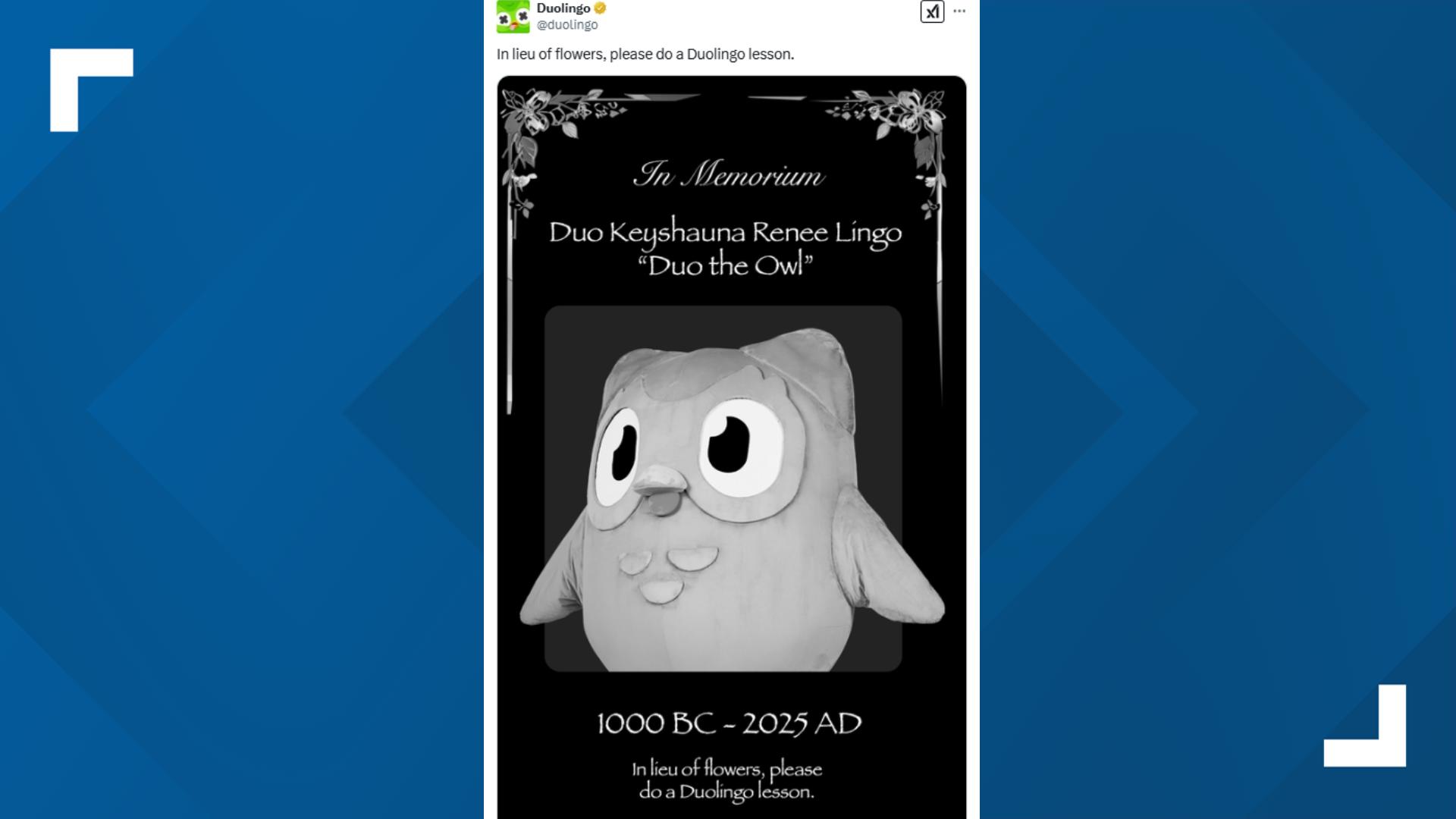 Internet reacts to Duolingo's announcement of mascot Duo's death ...