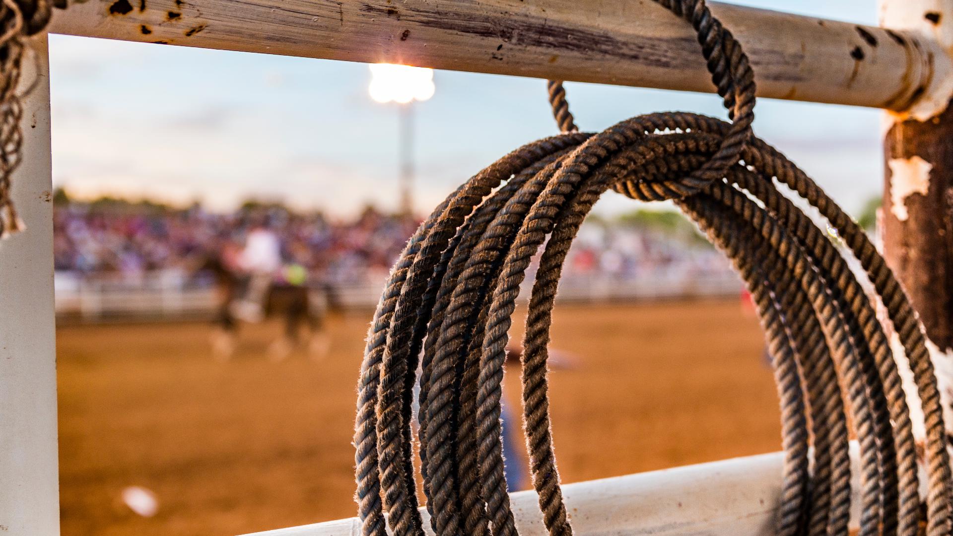 Bull hops fence at Oregon rodeo, injuring 3 | 13newsnow.com