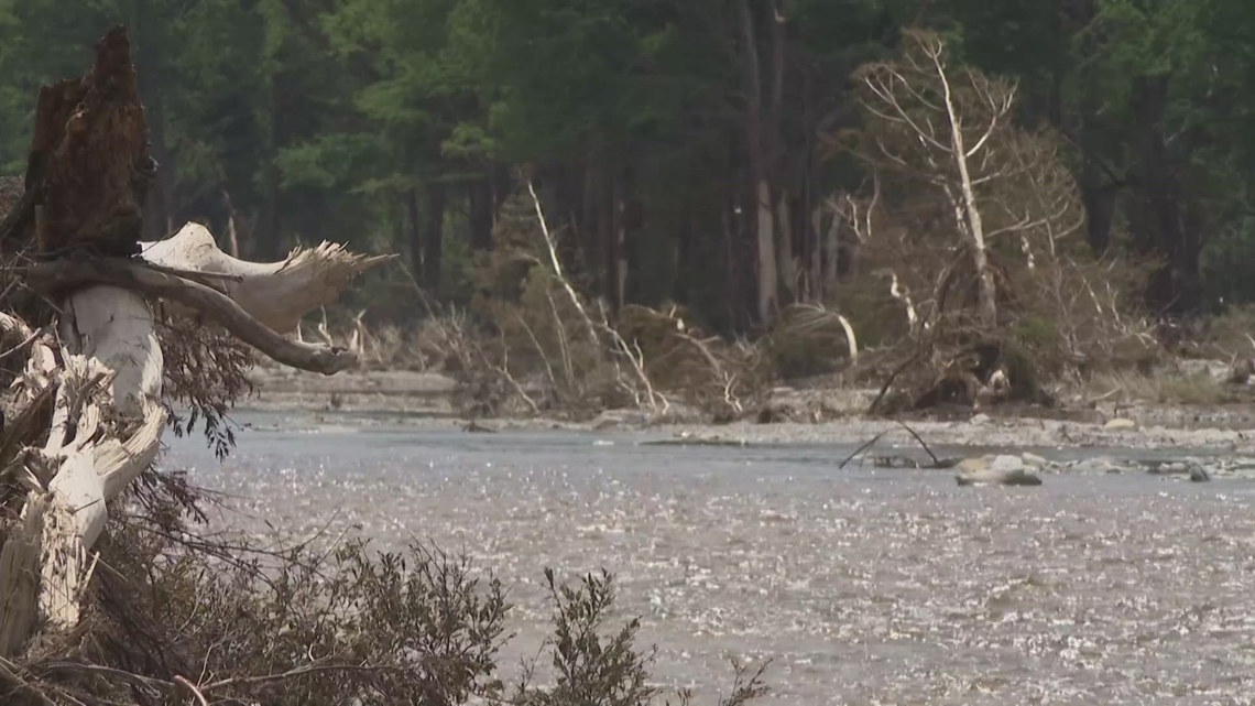 UVA President Jim Ryan resigns | 13newsnow.com