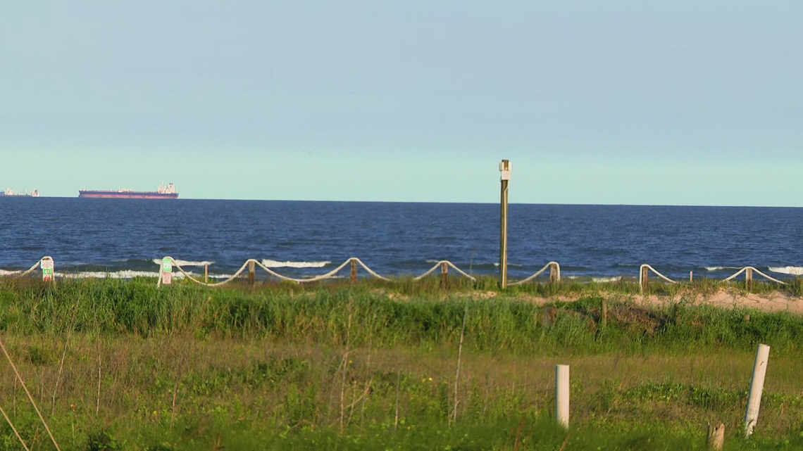 Father applies tourniquet after shark attacks teenage son miles off ...