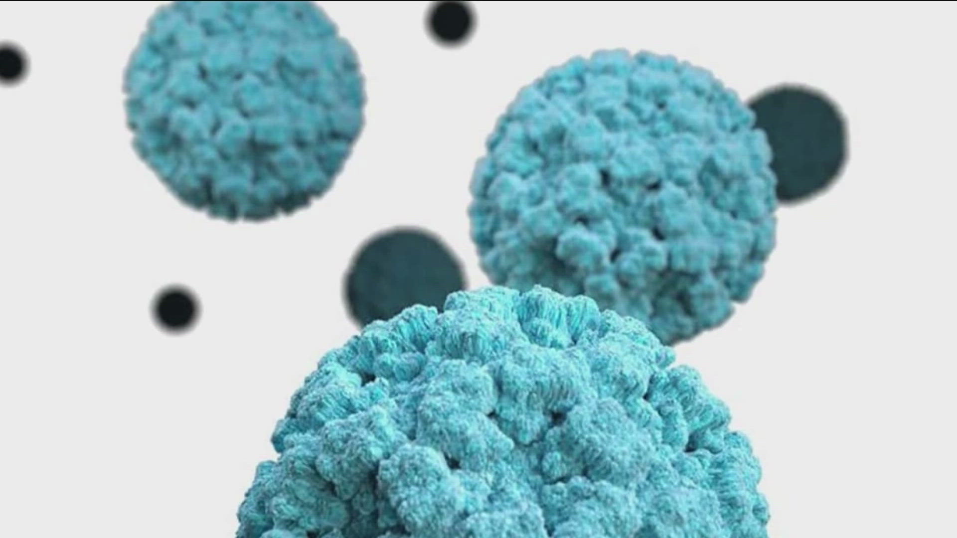 CDC: Norovirus outbreaks, infections surge in US | 13newsnow.com