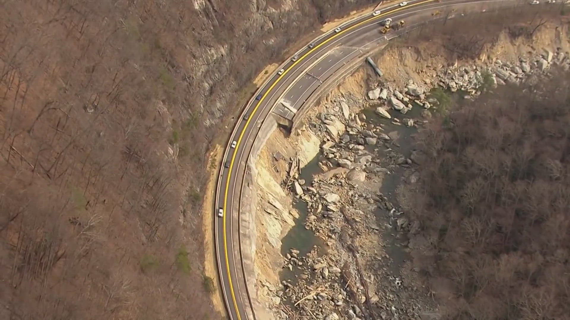 Dead whale off Virginia coast had vessel strike injuries: NOAA ...