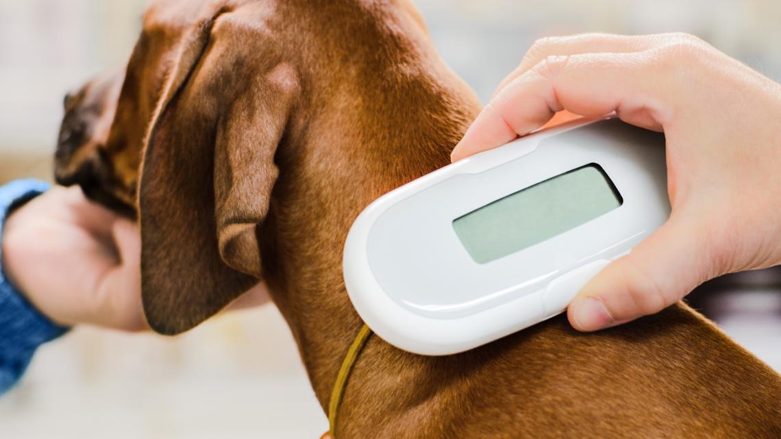 VERIFY | Save This Life pet microchip shutdown details | 13newsnow.com