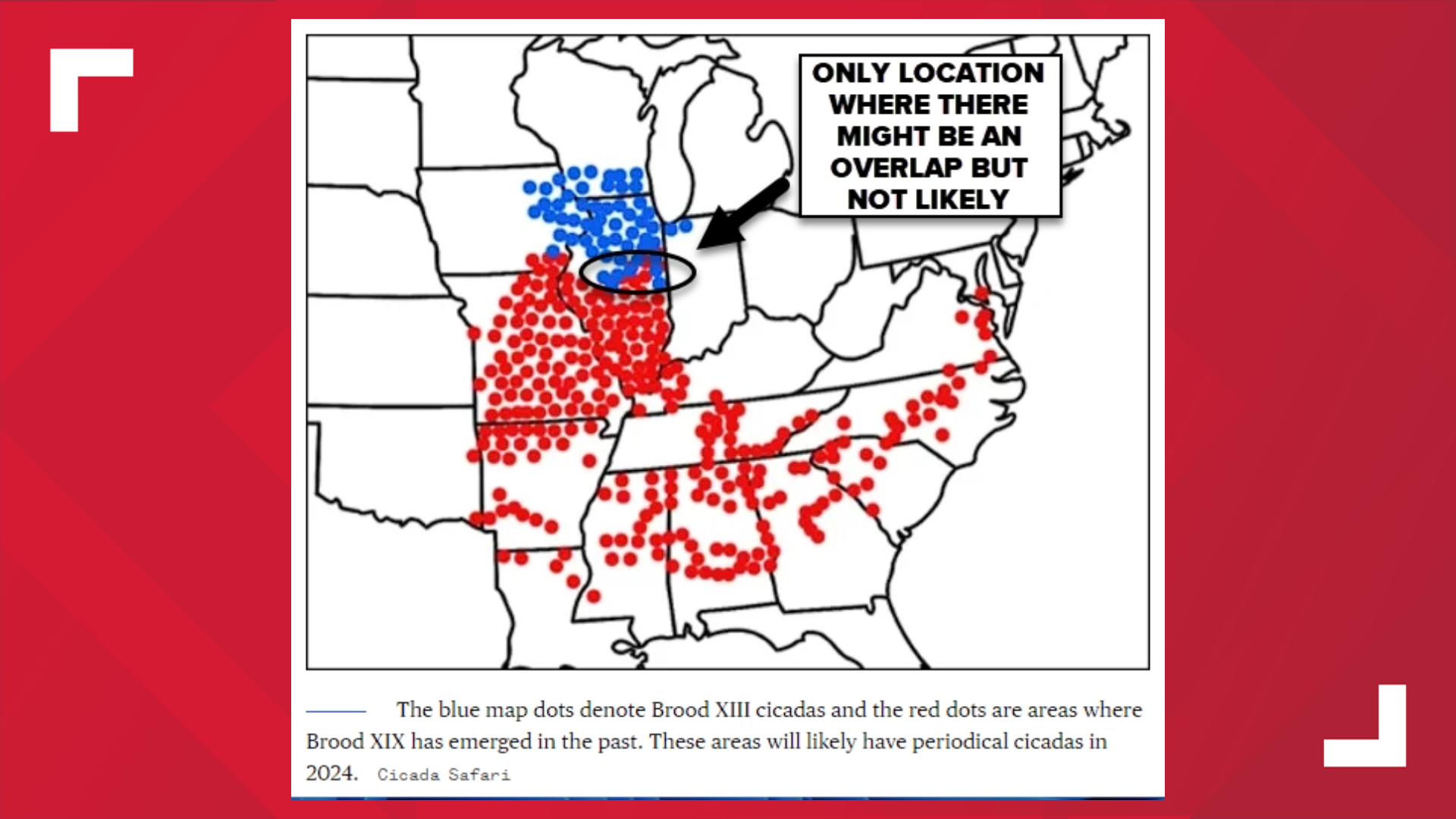 When are cicadas coming to Virginia in 2024? | 13newsnow.com
