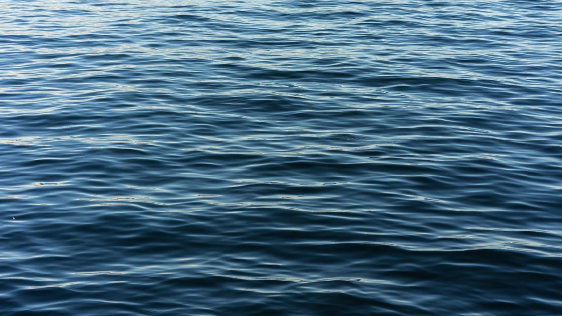 Dad who survived 9/11 attacks drowns in Lake Michigan | 13newsnow.com