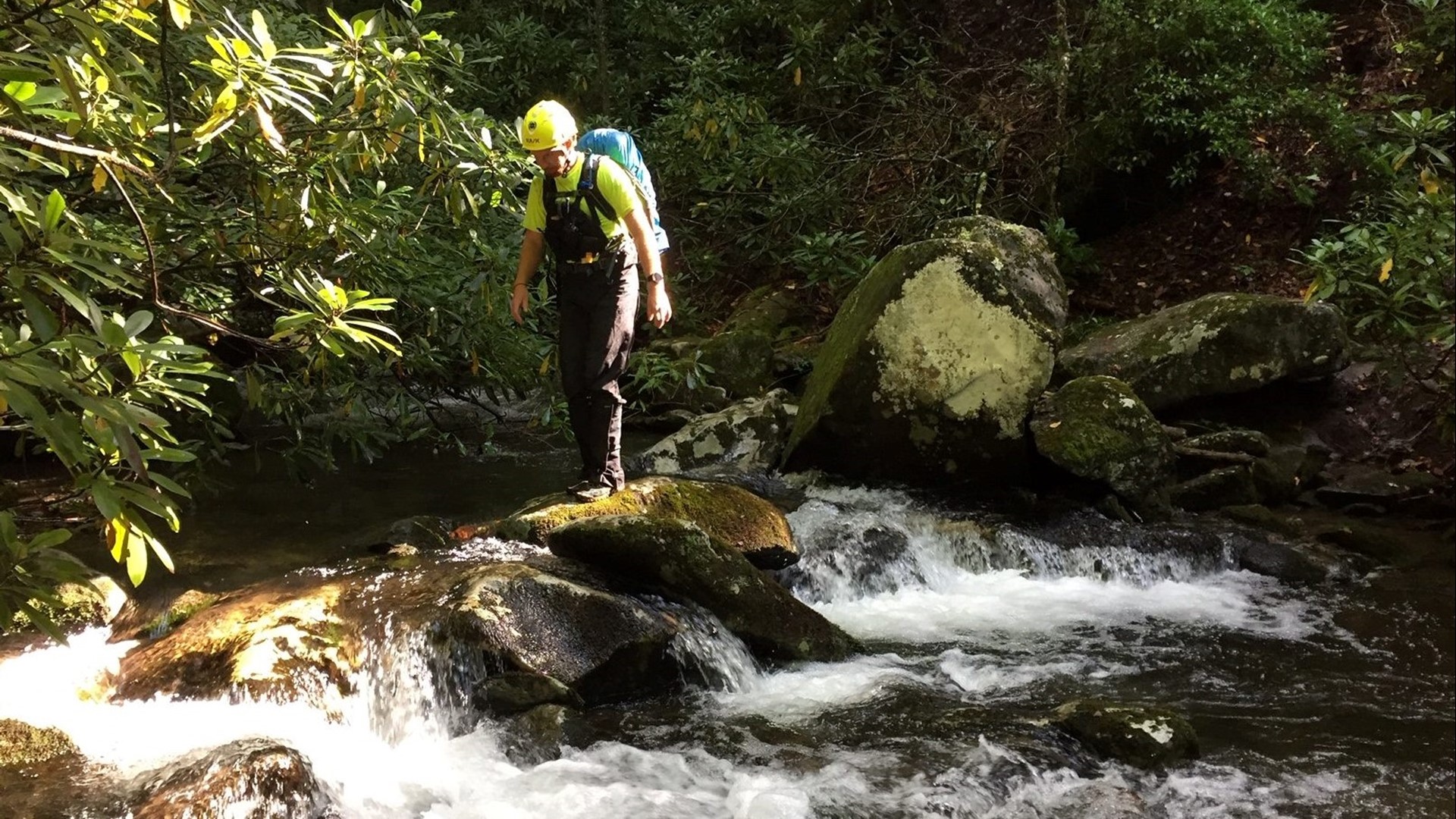Body of Missing Ohio Hiker Susan Clements Found in Great Smoky ...