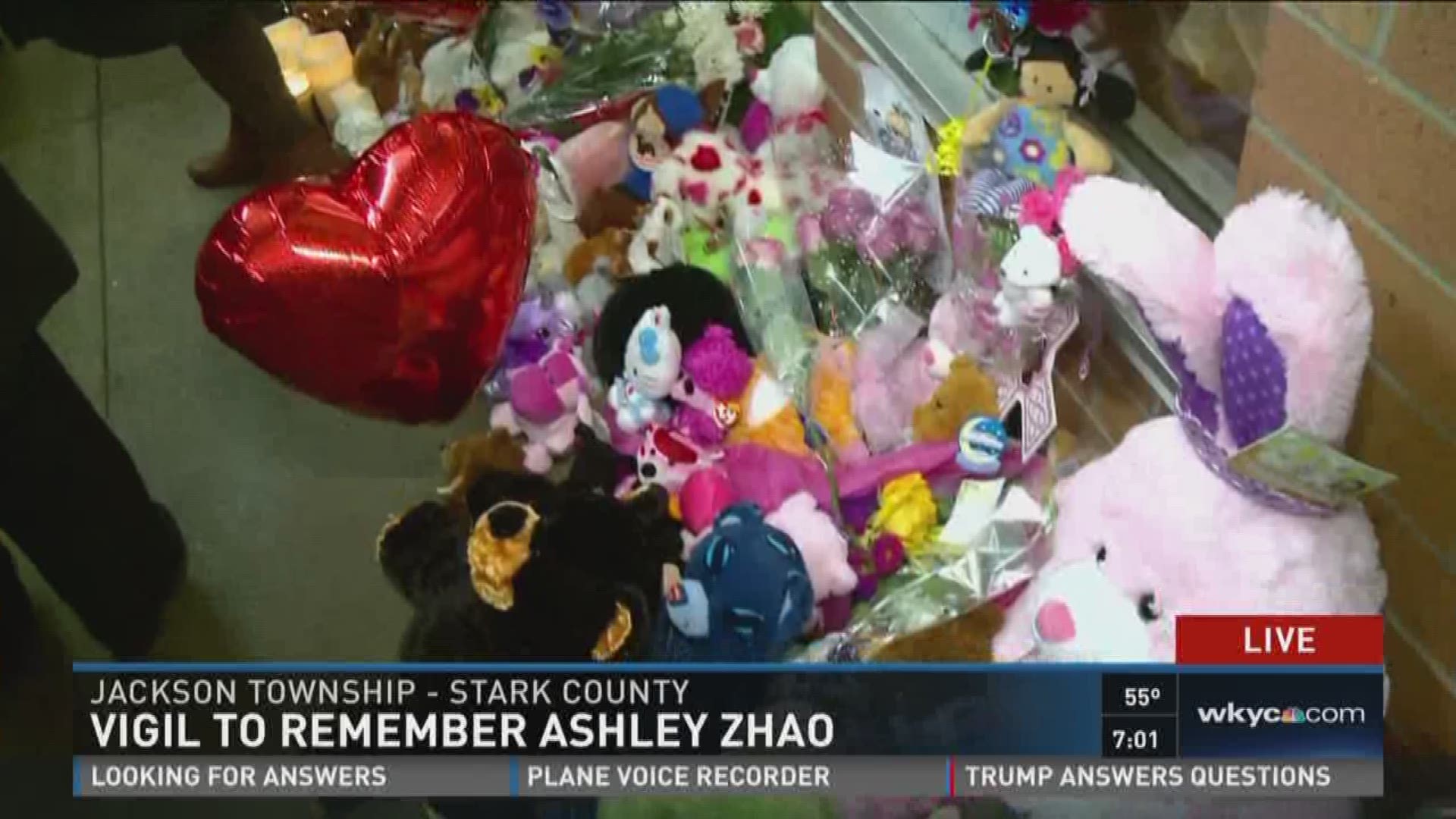 Police: Mother accused of killing daughter in Chinese restaurant is not ...