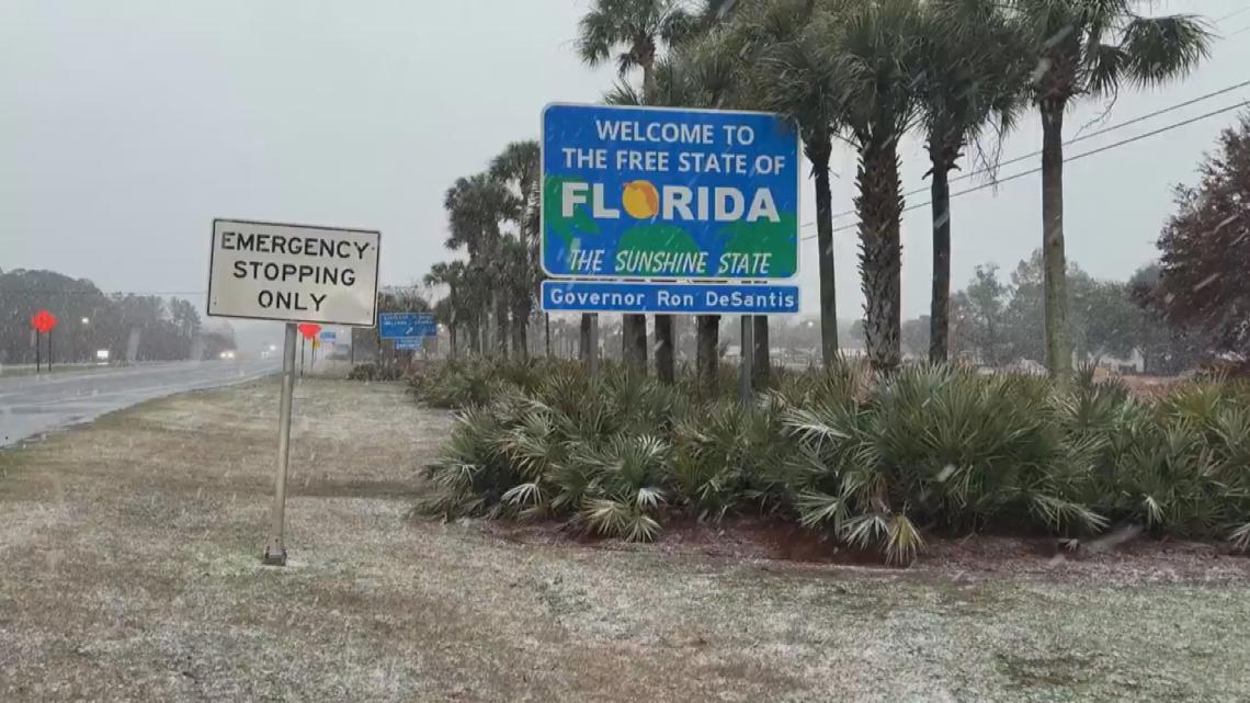 Florida snow 2026: Here are photos, videos capturing snowfall across ...