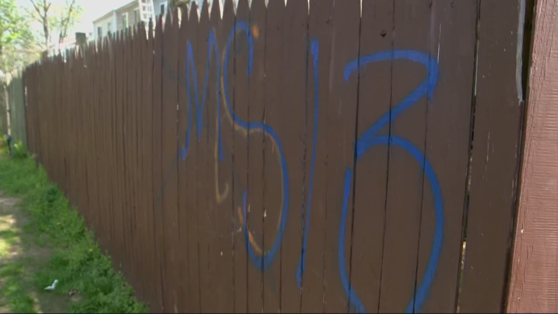 A look inside the world of MS-13 | 13newsnow.com
