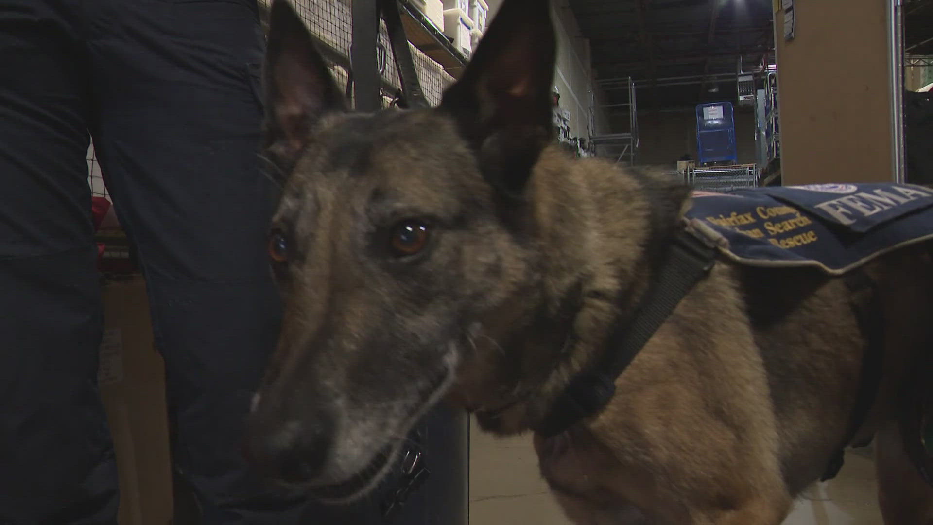 Virginia Task Force 1 returns after emotional mission in Texas ...