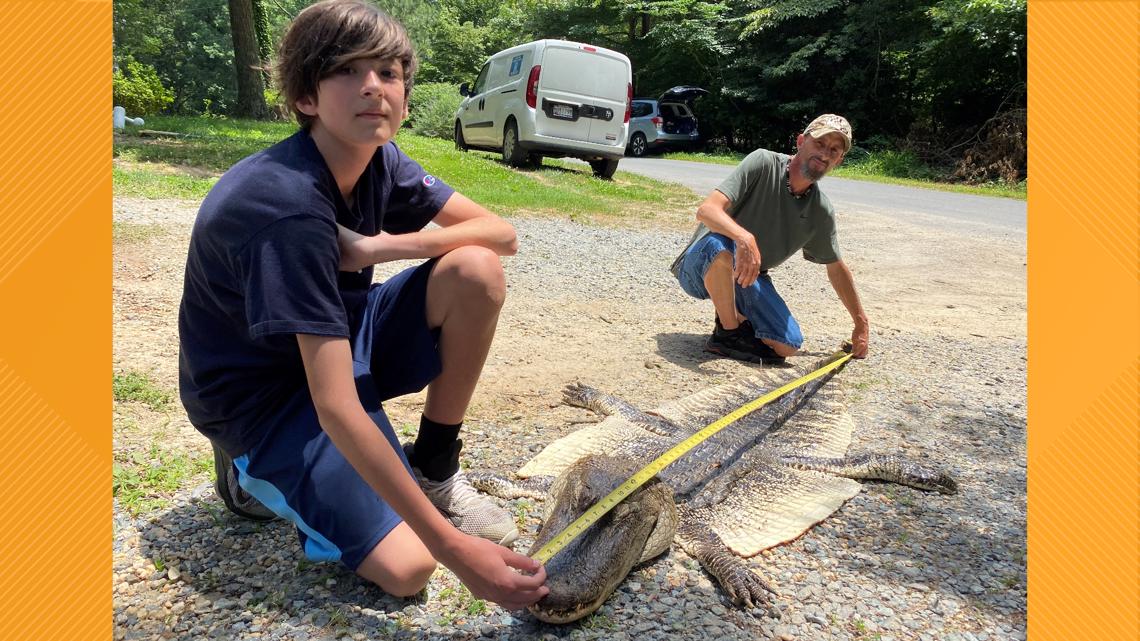 7.5-foot alligator caught in the Chesapeake Bay | 13newsnow.com