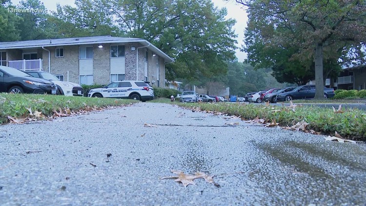 Tunnel boring machine 'Mary' officially unveiled for HRBT Expansion ...