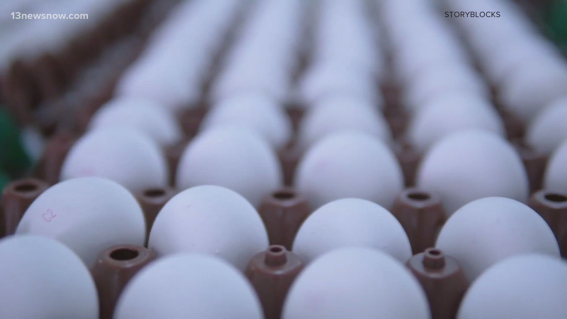 Virginia egg prices soaring due to bird flu | 13newsnow.com