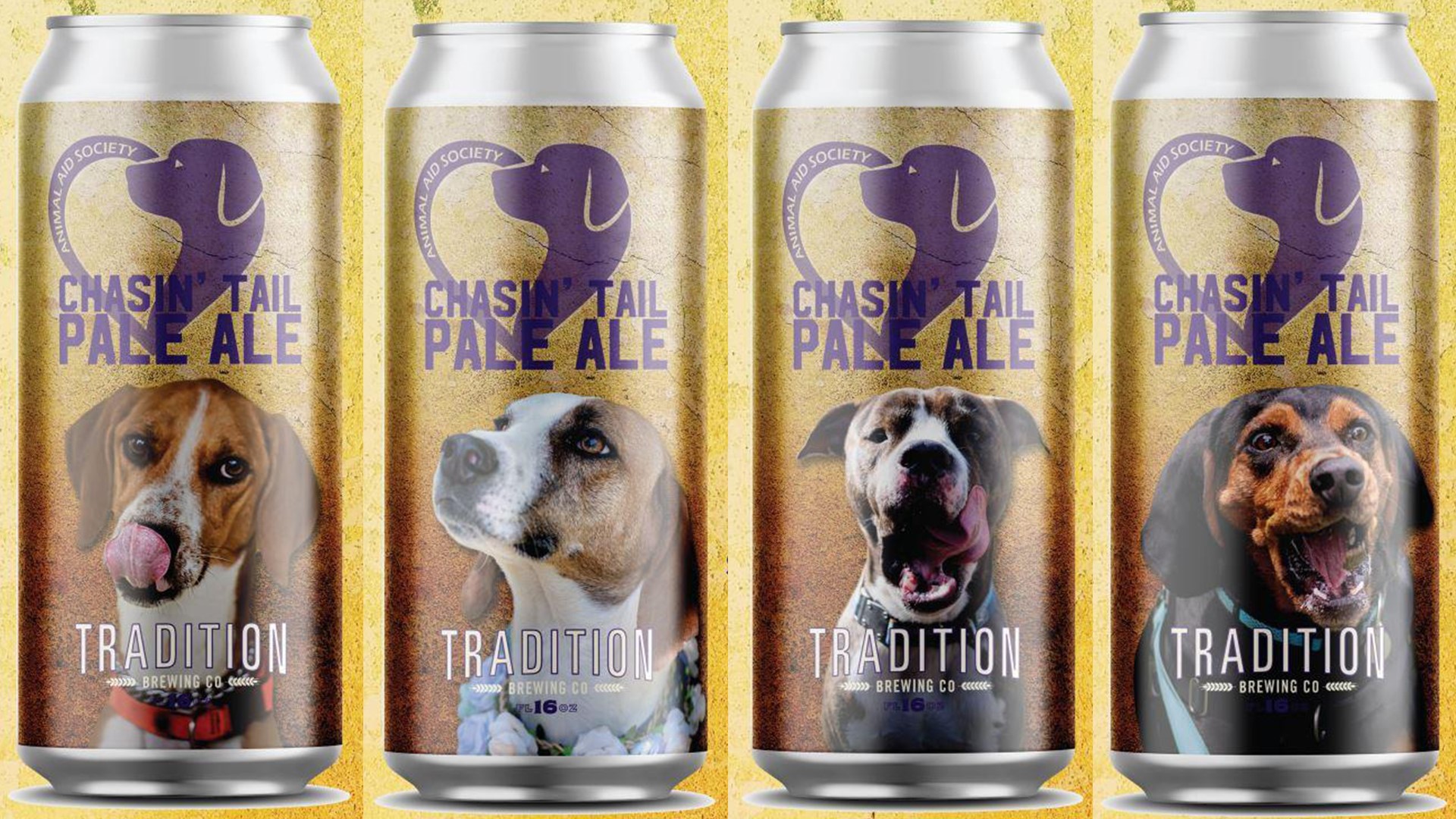 Tradition Brewing in Newport News to feature four adoptable dogs on ...