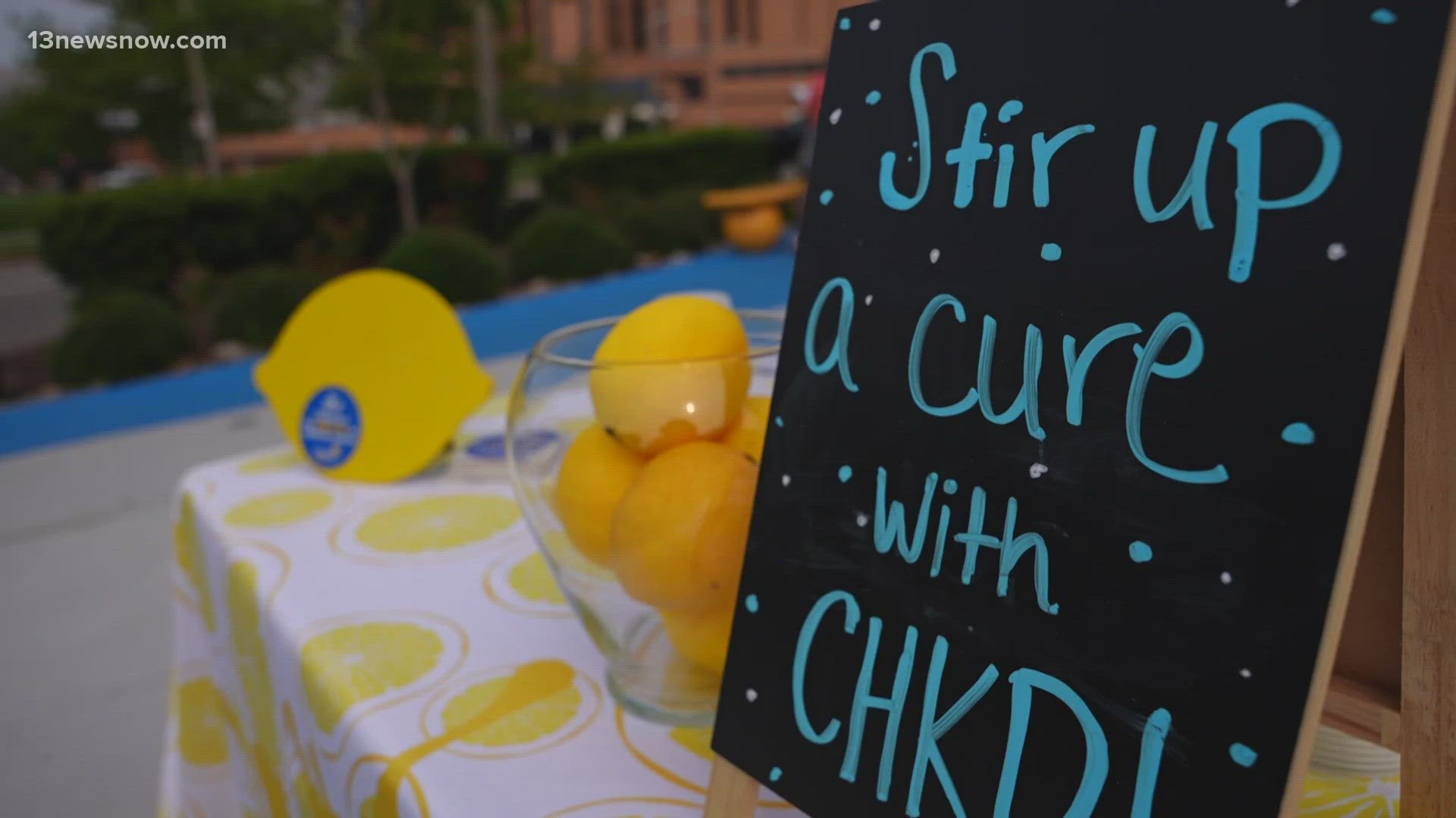 2023 Anthem LemonAid Challenge at CHKD | 13newsnow.com