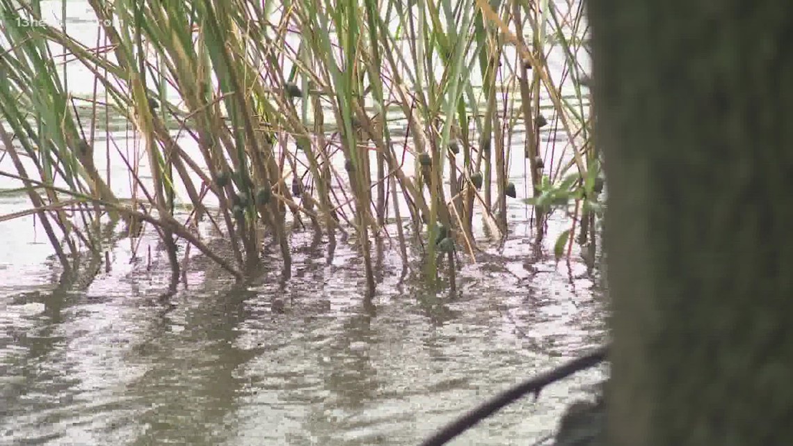 Hampton, U.S. Army Corps of Engineers to study sea level rise ...