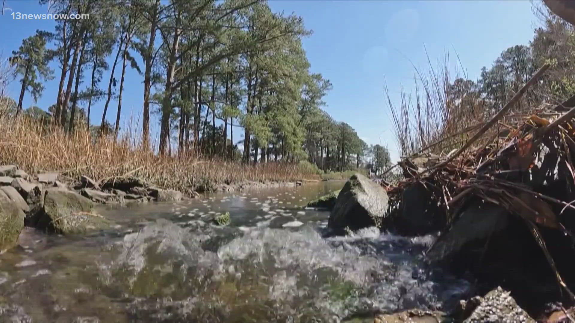 Chesapeake Bay restoration efforts seek public feedback | 13newsnow.com