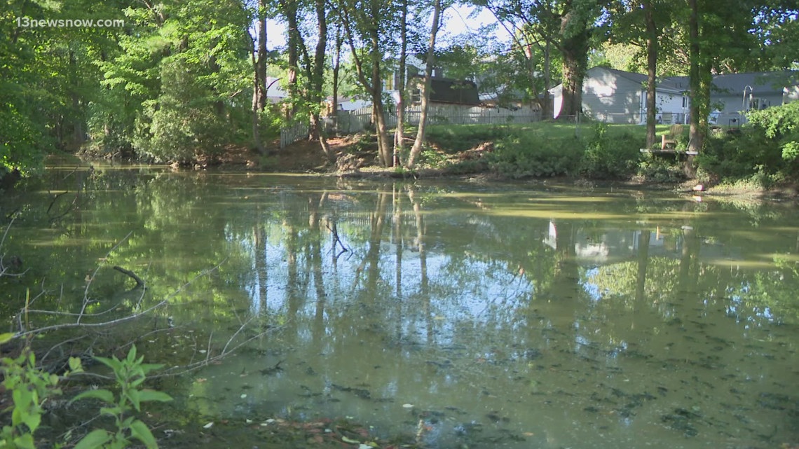 Virginia Beach residents seek relief from Thalia Creek smell ...