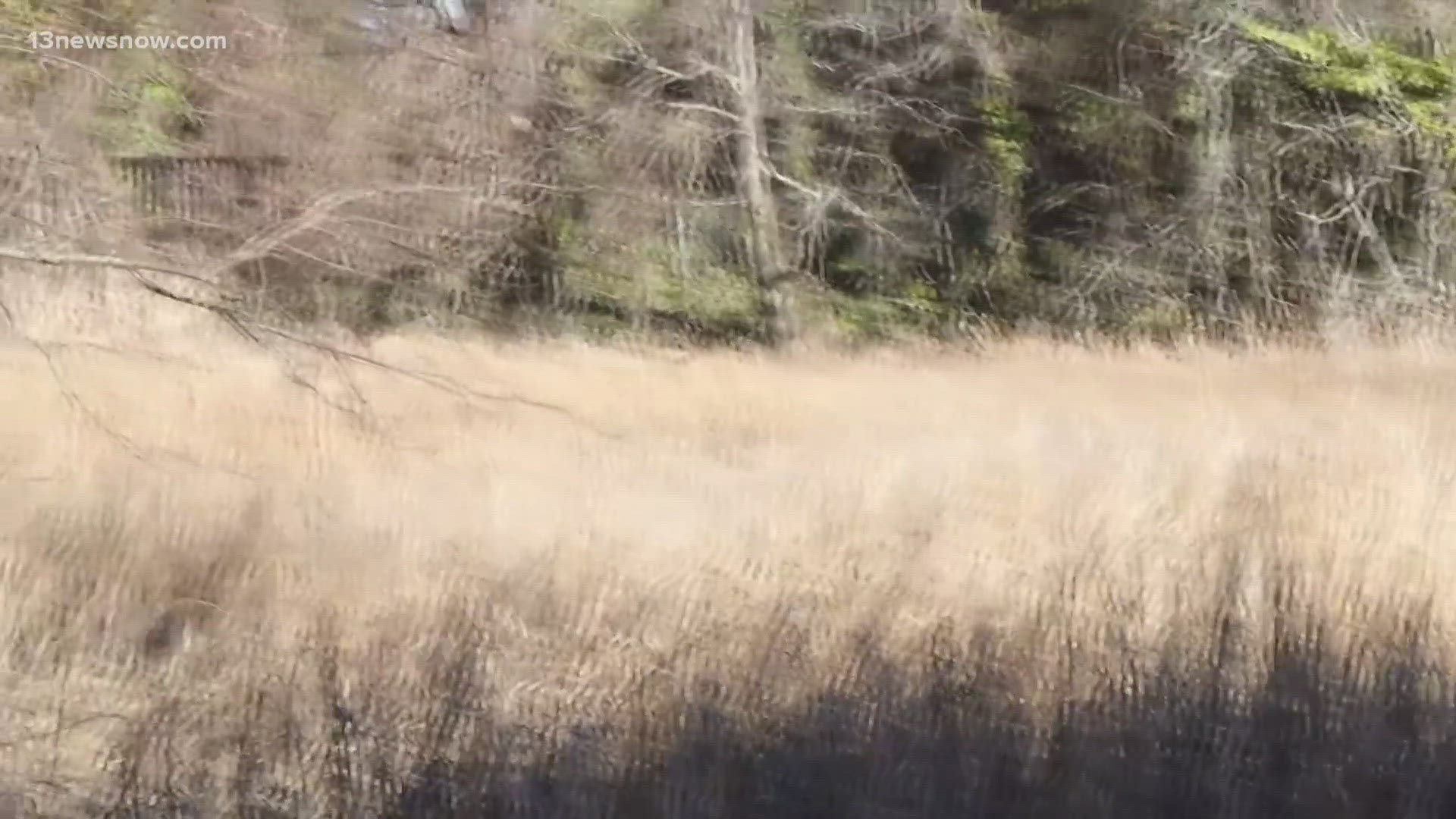 Norfolk receives $25M grant for coastal flood risk project | 13newsnow.com