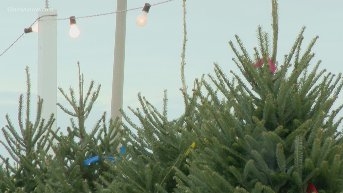 13News Now Vault: How the Christmas tree industry has changed ...