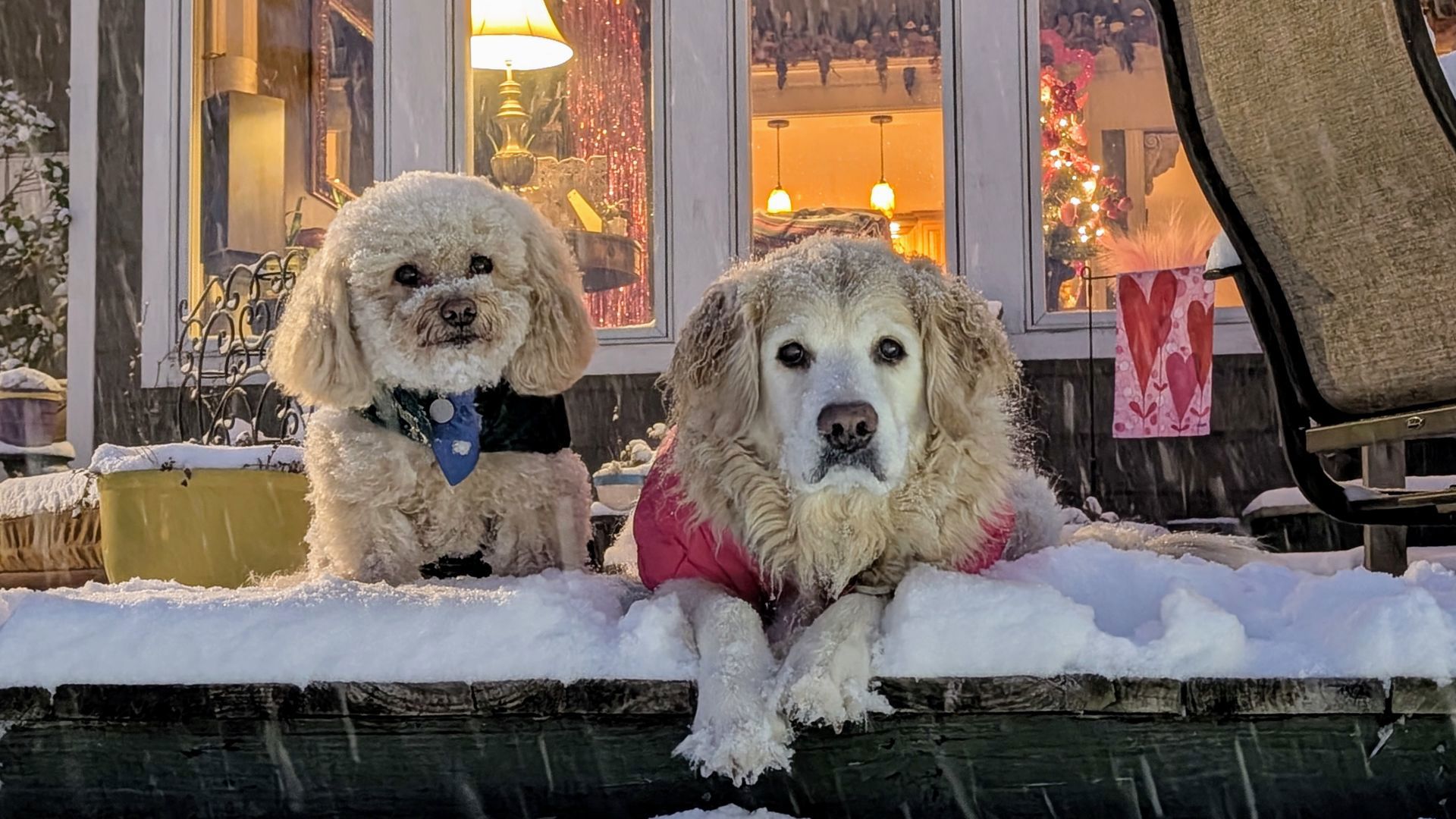 Stunning scenes from a record-breaking snowstorm in coastal Virginia ...