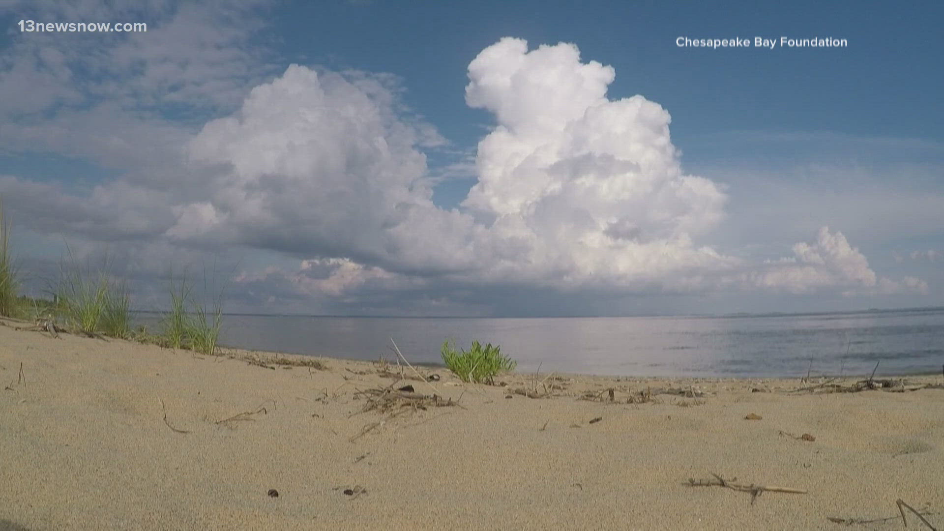 Hurricane Erin leaves environmental impacts in its wake | 13newsnow.com