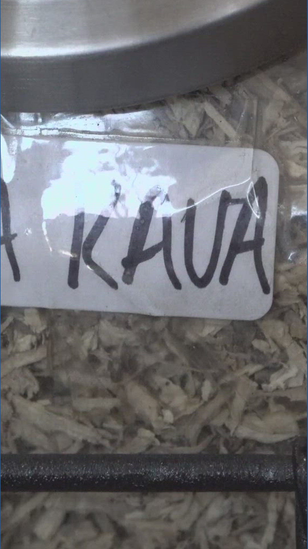 Kava products linked to rise in poison control calls, warns University ...