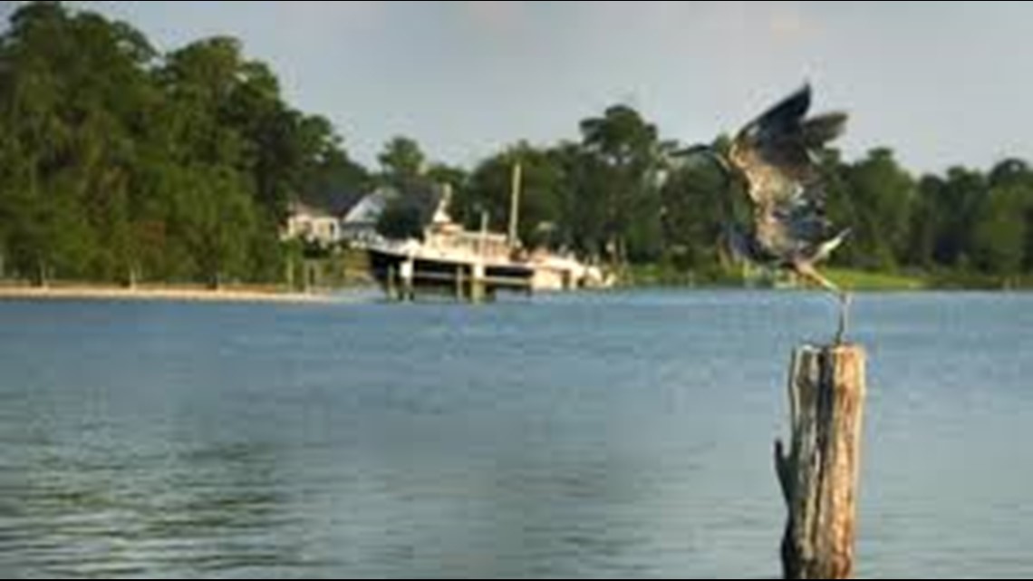 Local cities receive $3M to help Chesapeake Bay, alleviate flooding ...