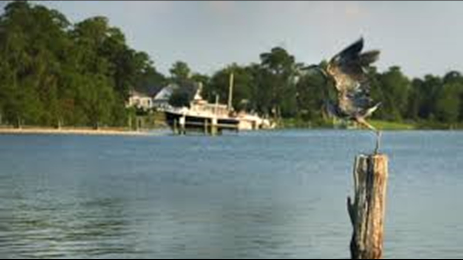 Local cities receive $3M to help Chesapeake Bay, alleviate flooding ...