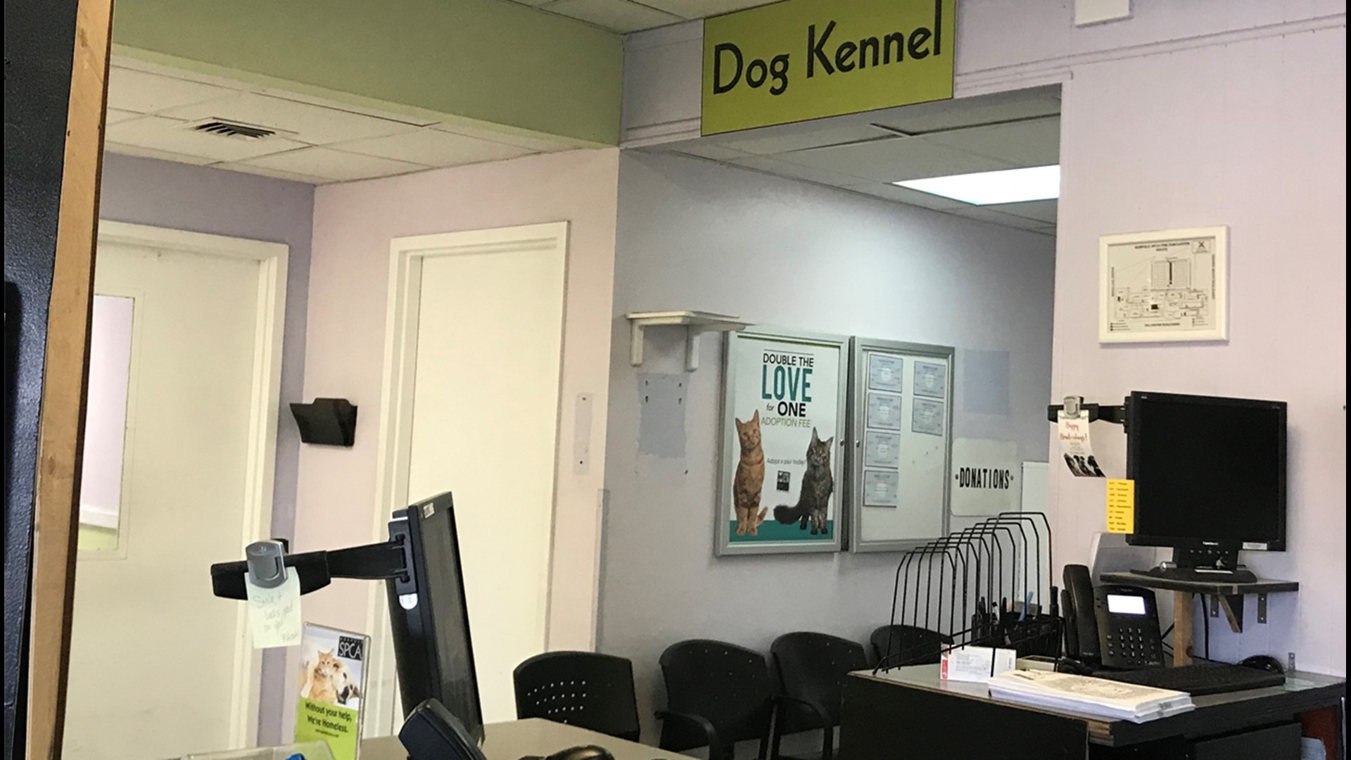 Norfolk SPCA upgrading its dog kennel space | 13newsnow.com