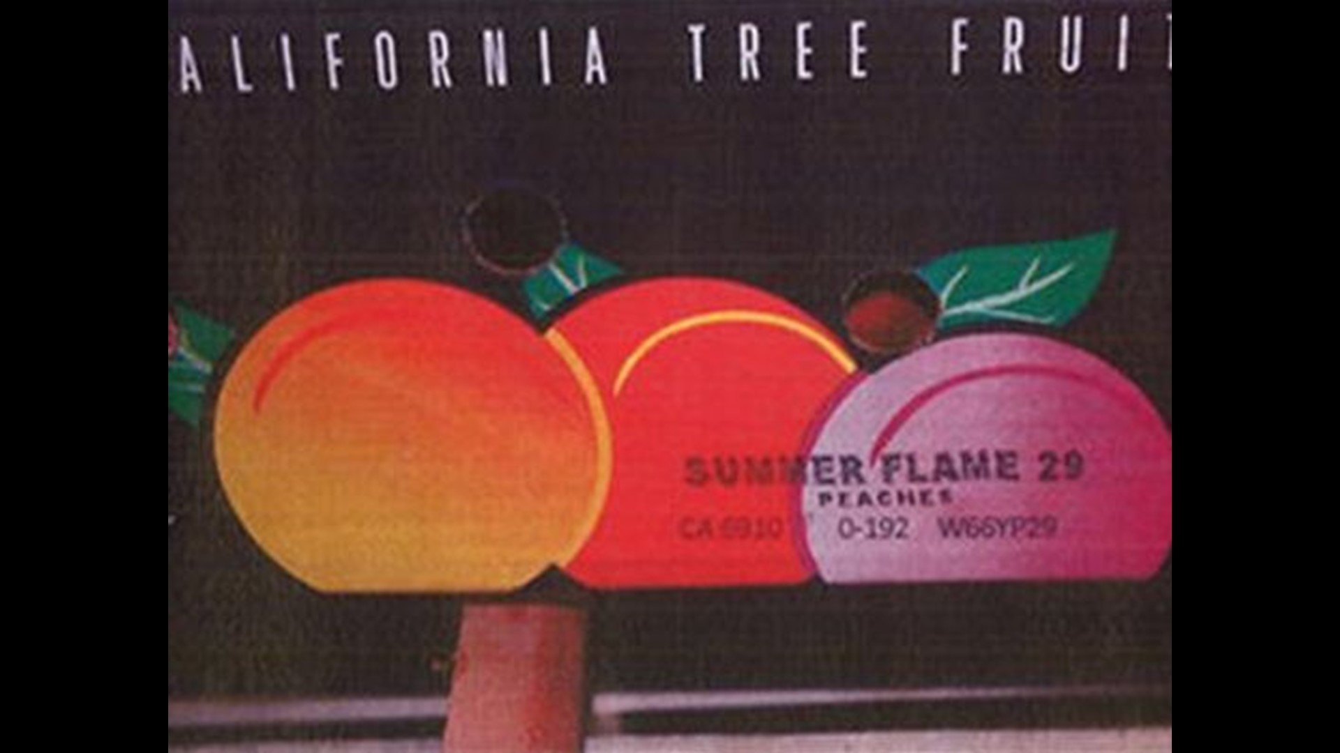 FDA: Nationwide fruit recall for possible contamination | 13newsnow.com