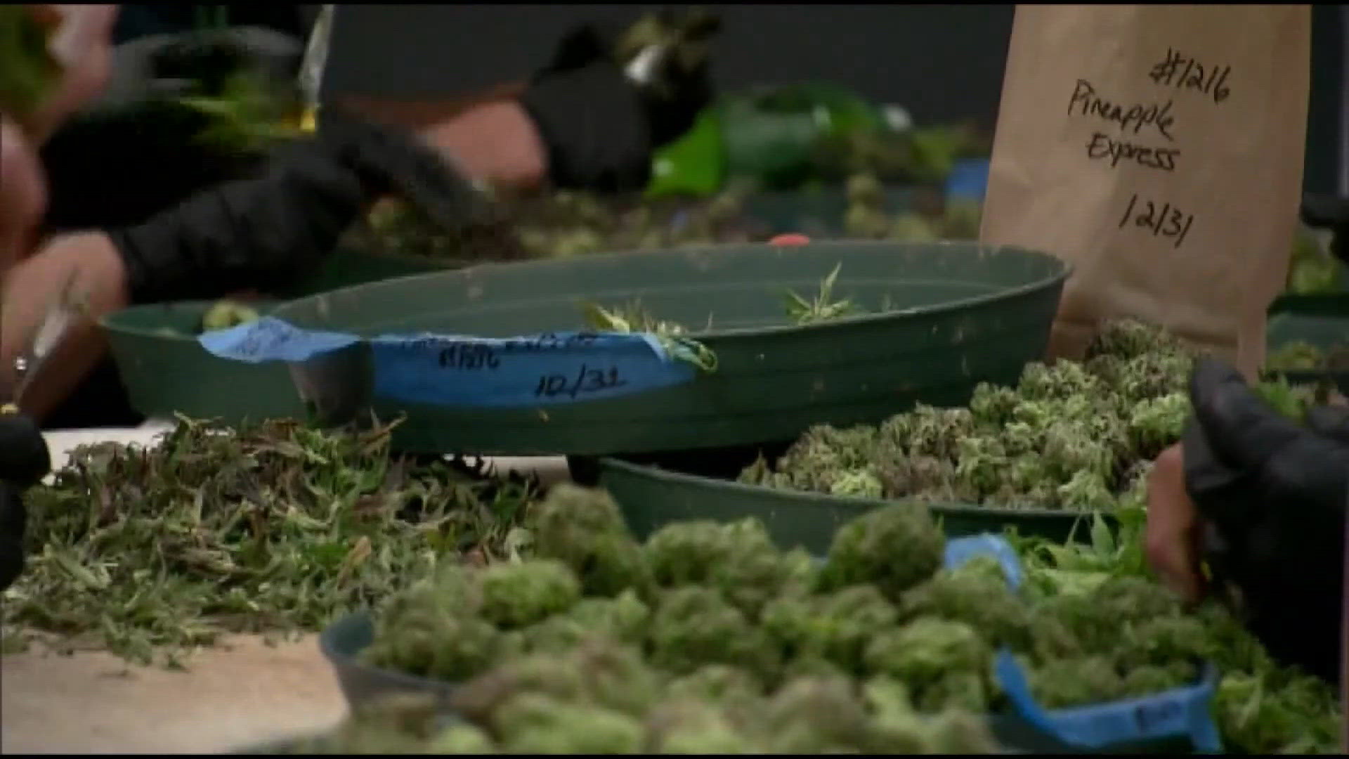 Local business reacts to Virginia cannabis market deal | 13newsnow.com