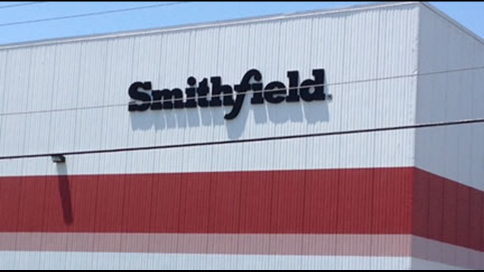 Smithfield Foods aims to grow skin, organs for humans | 13newsnow.com
