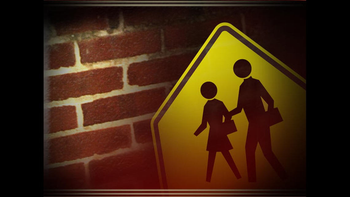 Fabio's face vs. goose roller coaster accident at Busch Gardens ...