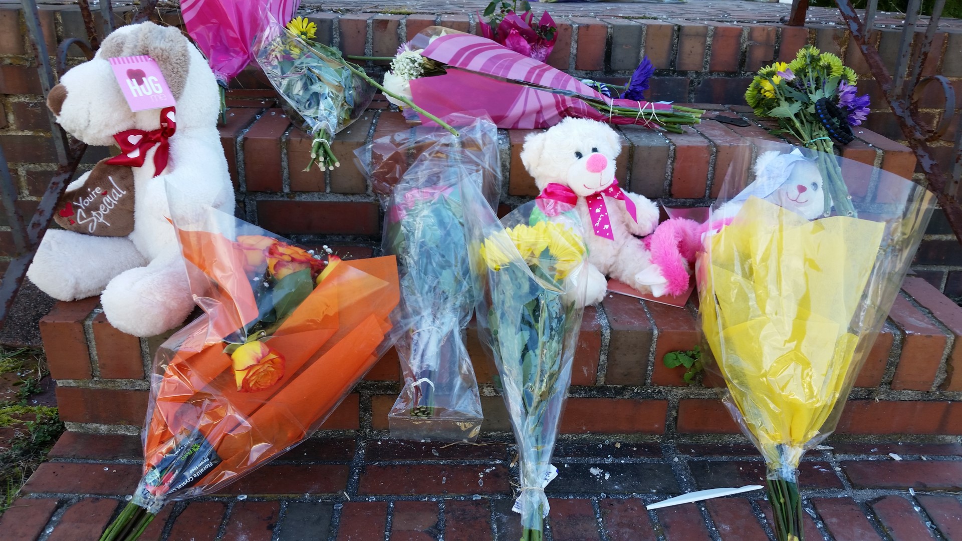 January 2016: Chesapeake family killed in murder-suicide | 13newsnow.com