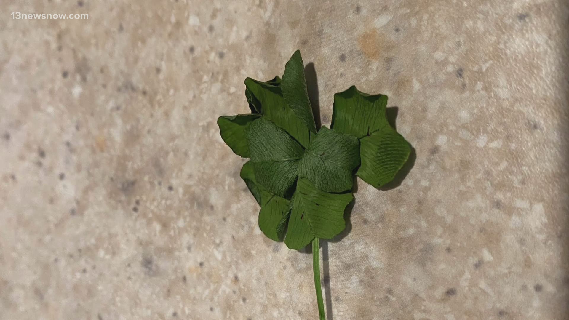 Virginia Beach twins find lucky seven-leaf clover | 13newsnow.com