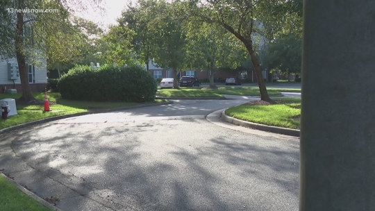 Newport News woman to serve 5 years probation for little brother's ...