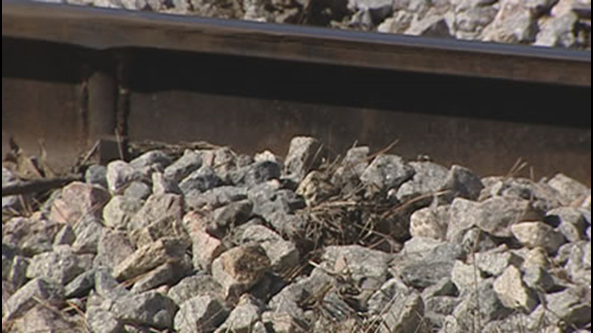 Rock throwing cases in Suffolk reach 18 | 13newsnow.com