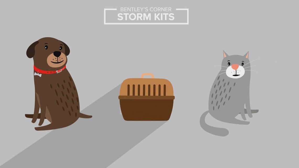 Hurricane and storm prep kits for your pet | 13newsnow.com