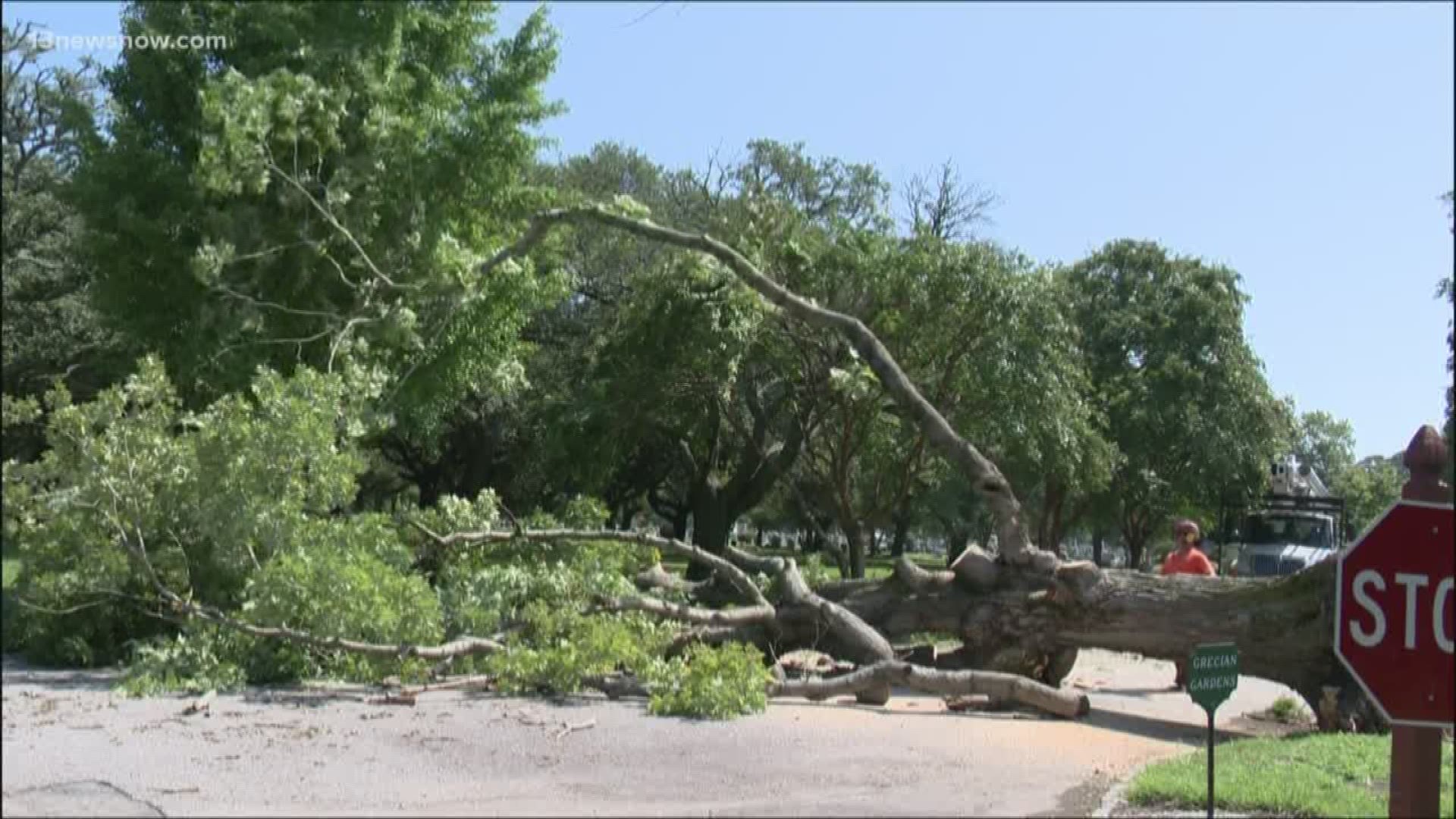 200-year-old tree fell on Norfolk's historic Hunter House, its archives ...