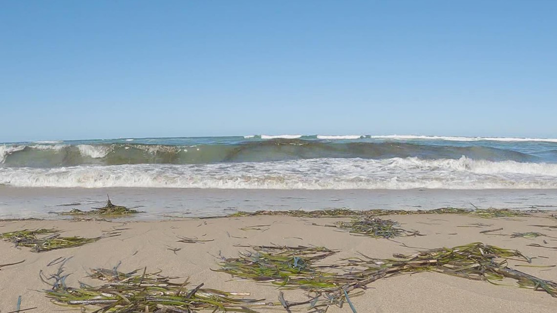 Greekfest 1989 riots at the Virginia Beach Oceanfront | 13newsnow.com