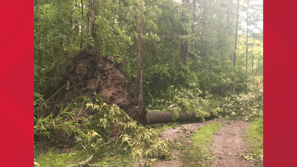 Storm winds blow down trees onto power lines in South Mills | 13newsnow.com