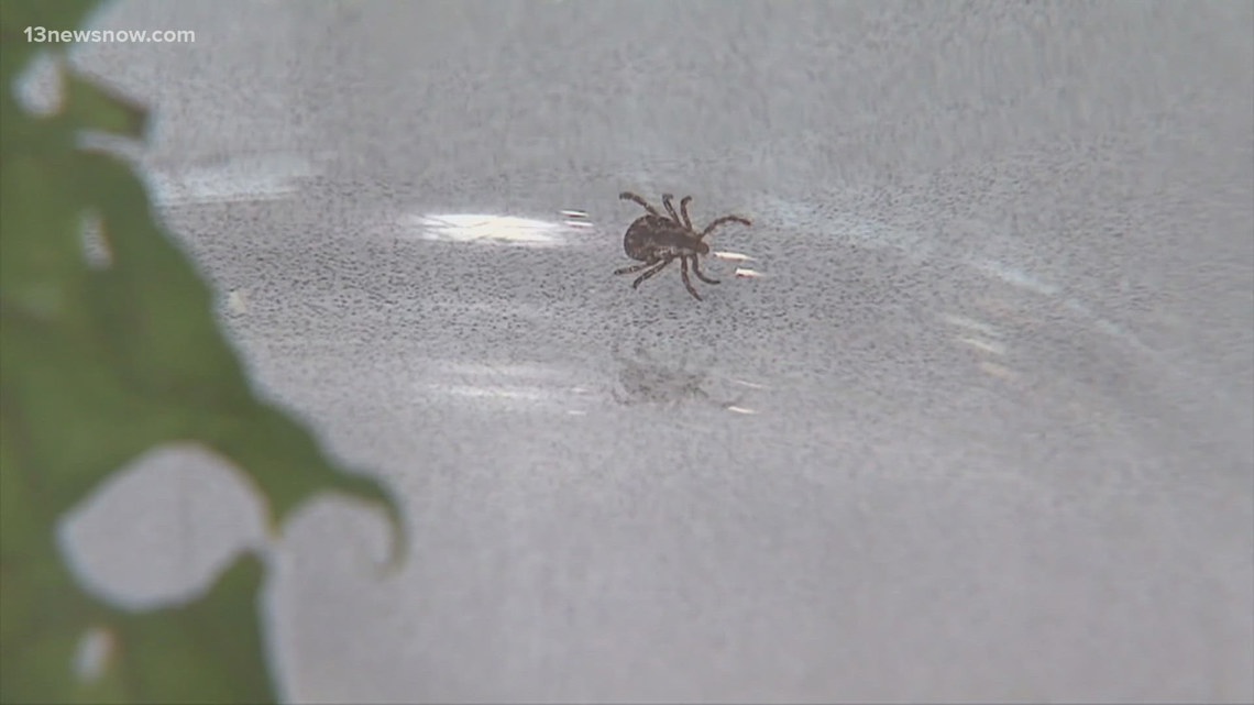 Emergency visits for tick bites rising, CDC says | 13newsnow.com